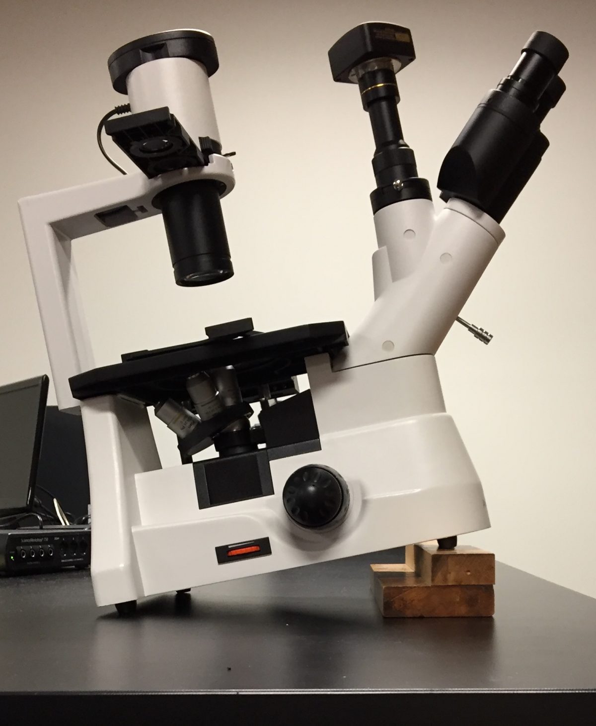Lab 4: Brownian motion + drift – Intro Physics for Living Systems